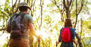 Mairie de Verteillac